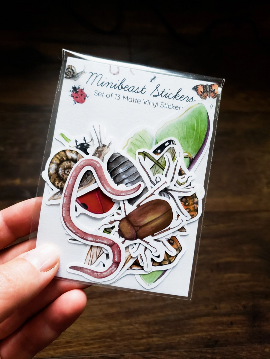 Minibeast Sticker Pack, Set of 13 Matte Vinyl Stickers – the eden baby